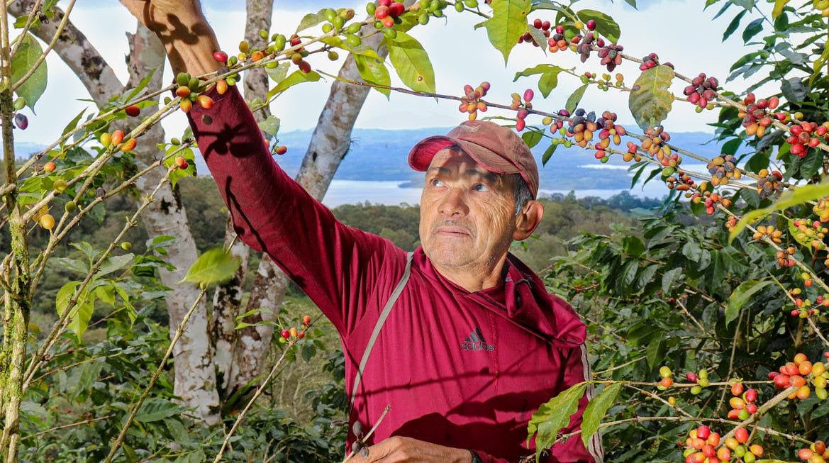 Good Coffee Cooperative | Coffee for the Common Good – Good Coffee Beans